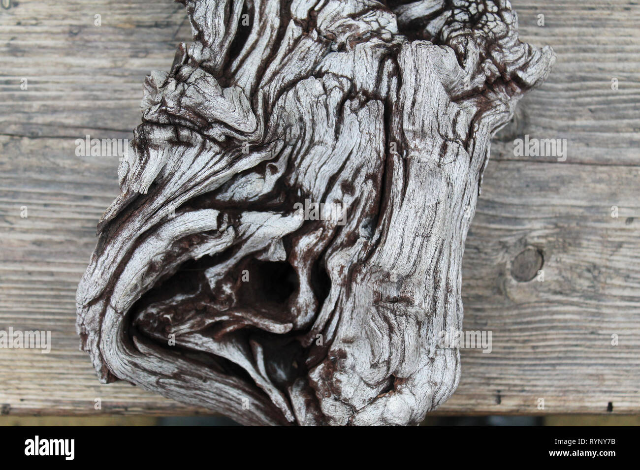 Nature magazine front page hi-res stock photography and images - Alamy