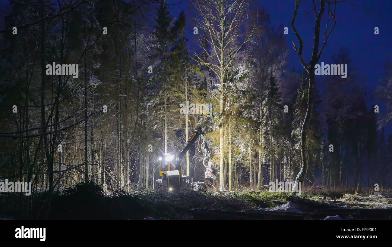 The light from the log harvester in the forest with the logs all over ...
