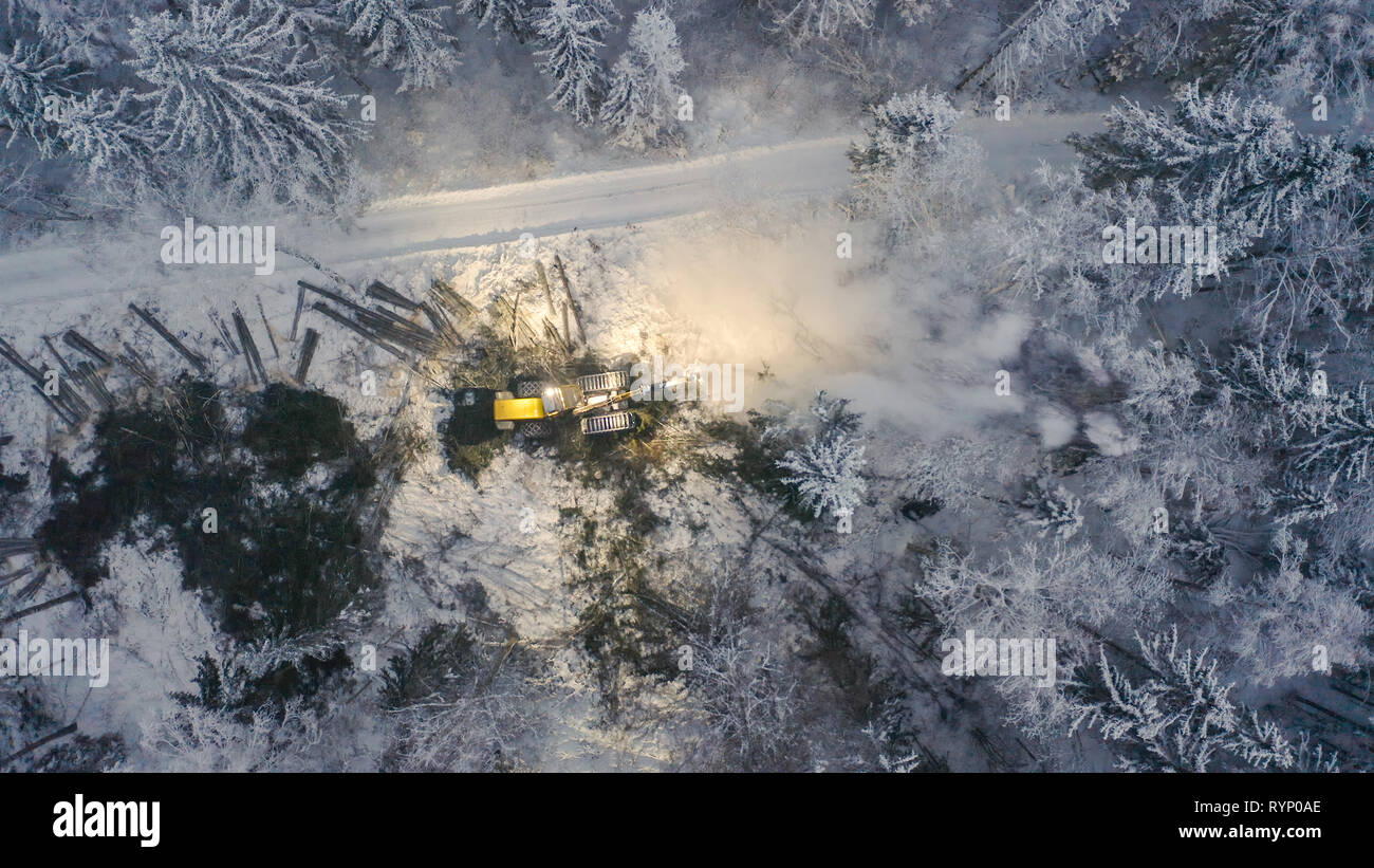 The aerial view of the log harvester on the forest with the tall trees ...