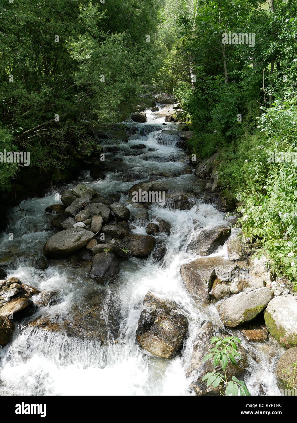Fast flowing river rocks trees hi-res stock photography and images - Alamy