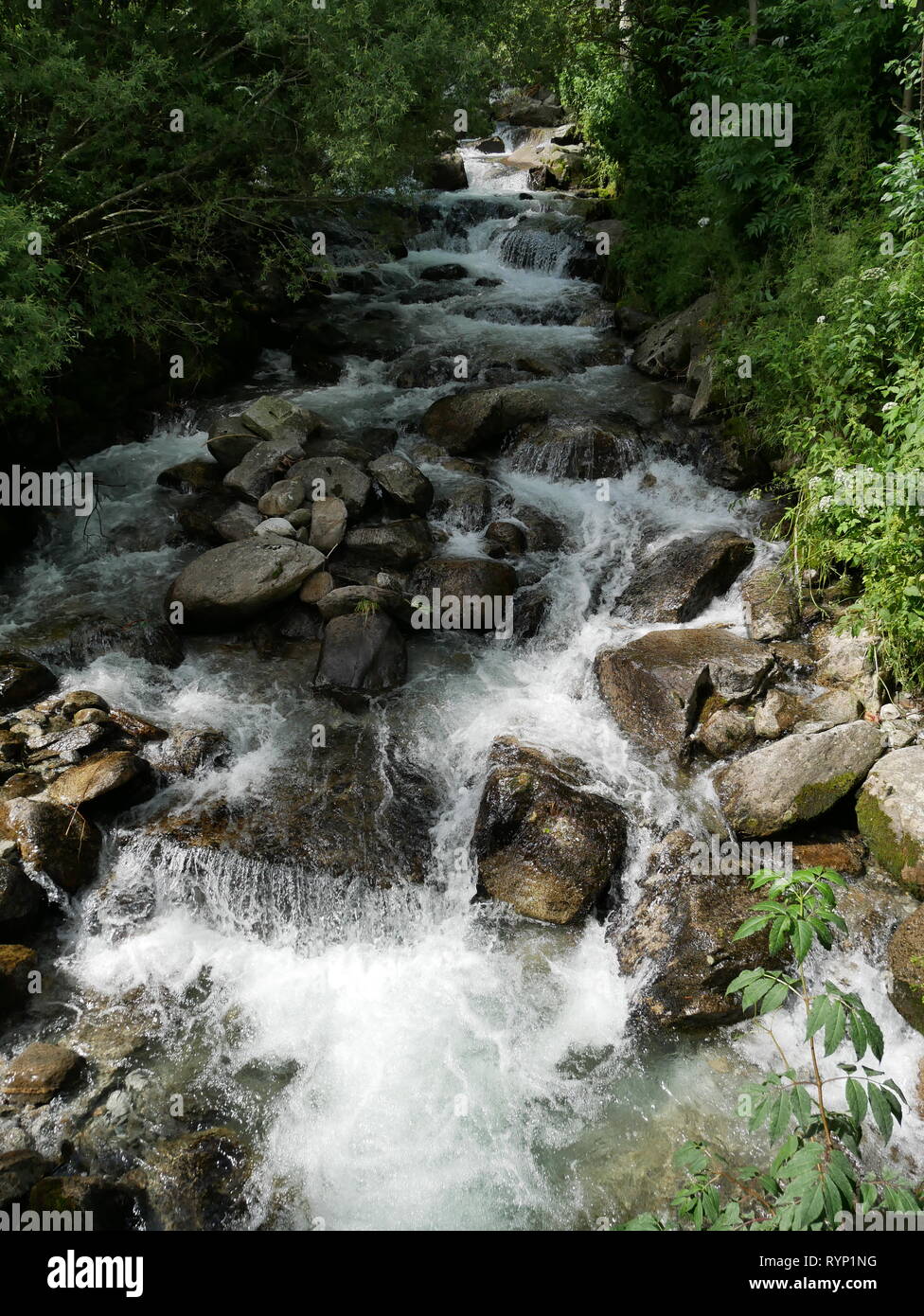 Fast flowing river rocks trees hi-res stock photography and images - Alamy