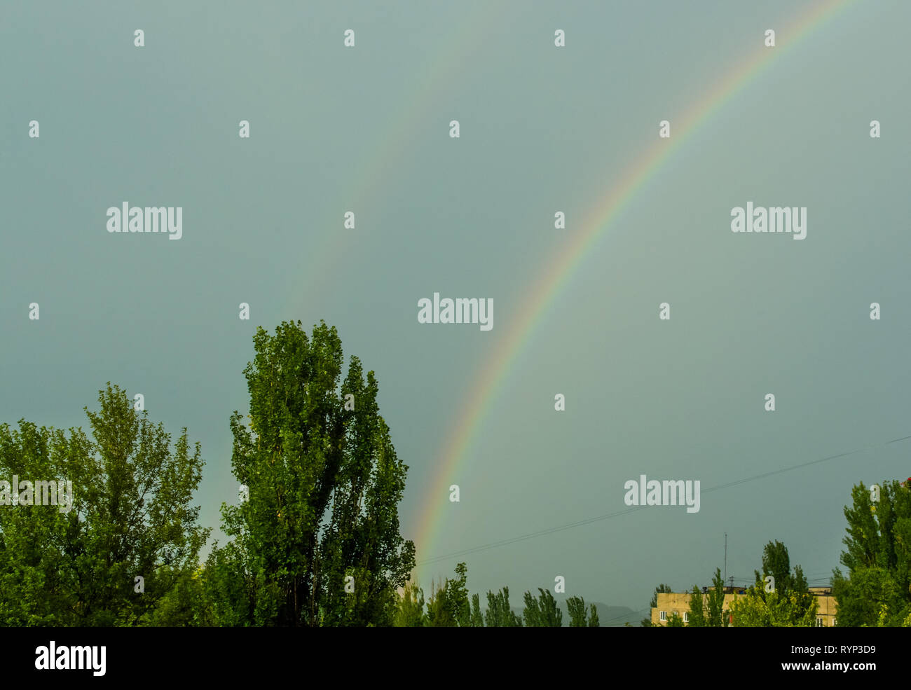 Natural double rainbow over green trees, summer city landscape Stock ...