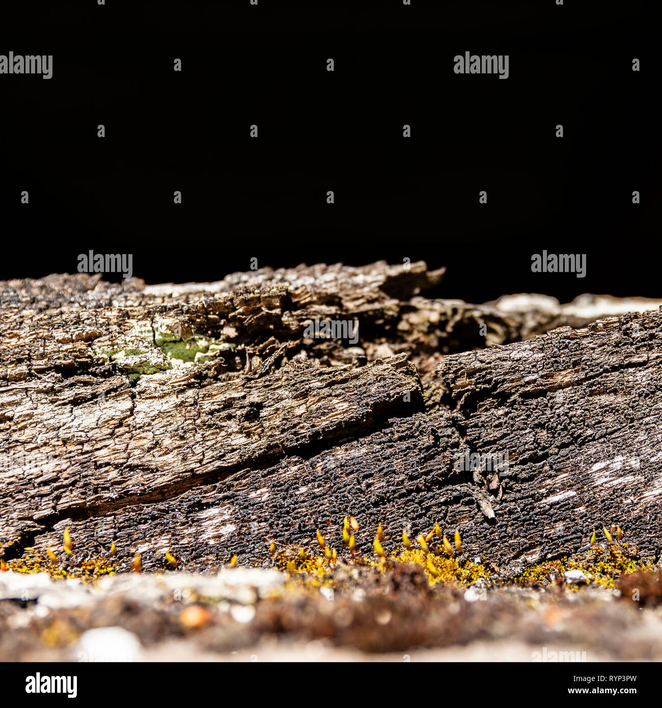 Old window sill hi-res stock photography and images - Alamy