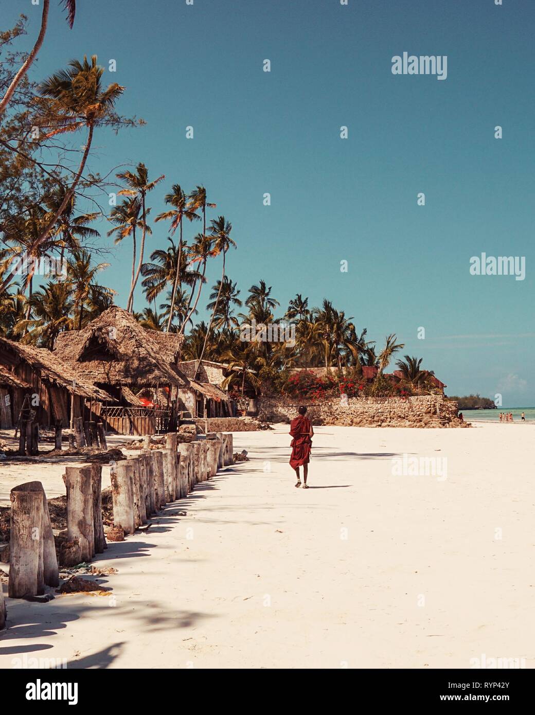 Beach walk at Uroa Beach, Zanzibar Stock Photo - Alamy