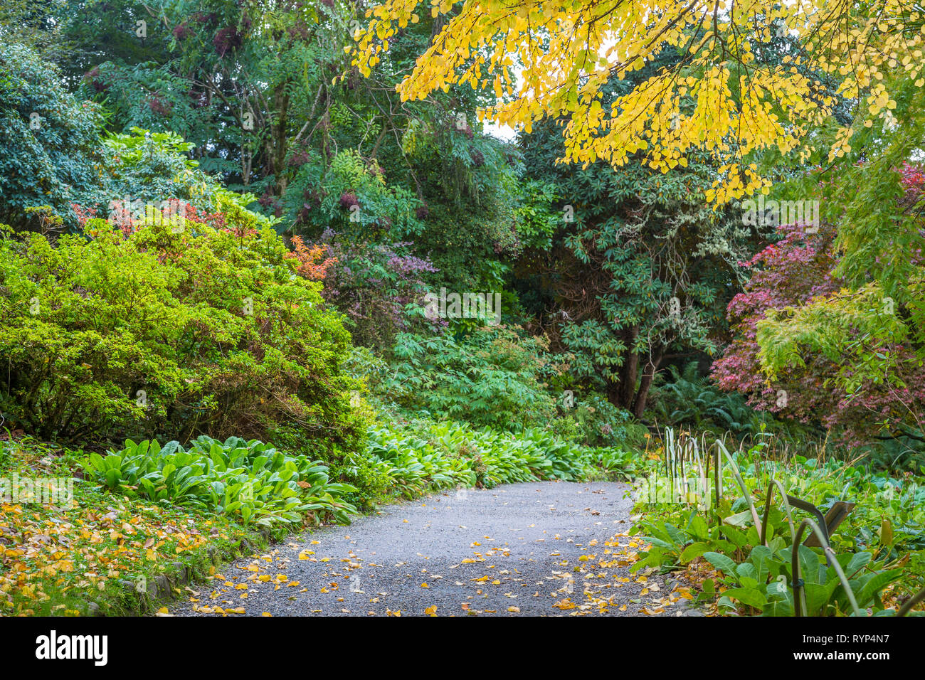 Gardens around Glenveagh Castle Stock Photo - Alamy