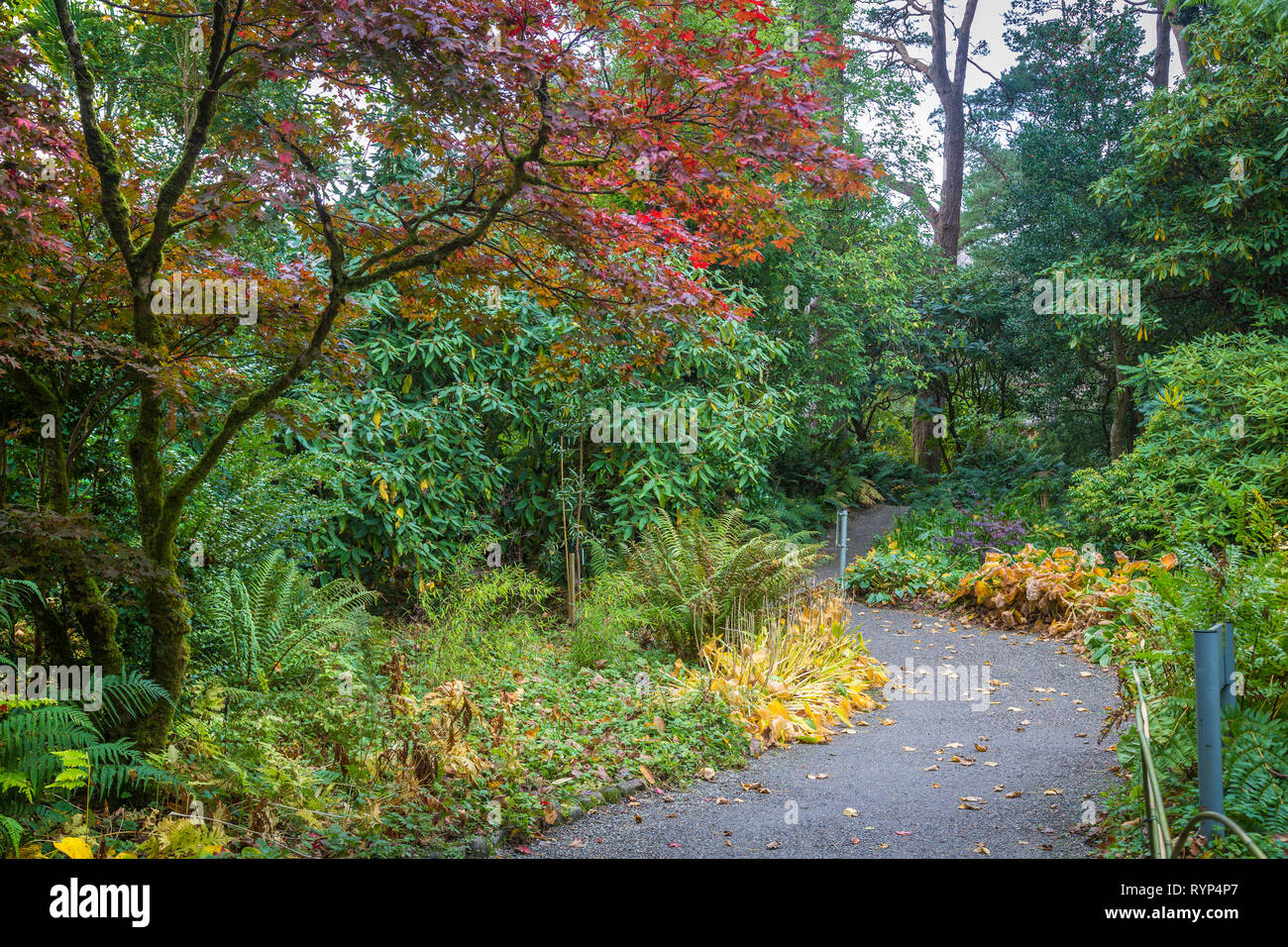 Gardens around Glenveagh Castle Stock Photo - Alamy
