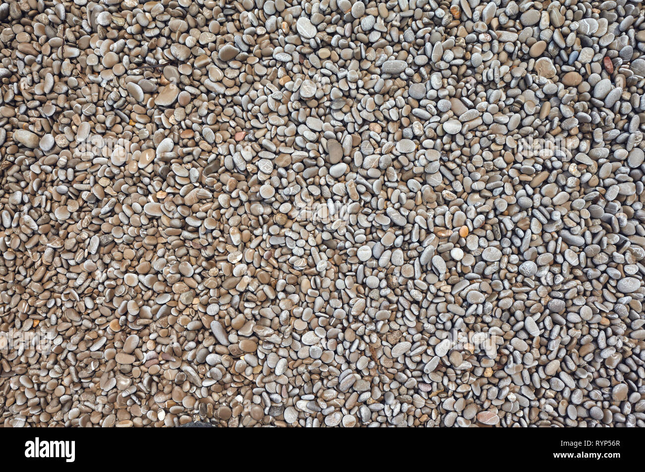 Natural background made of small pebbles on a beach Stock Photo - Alamy