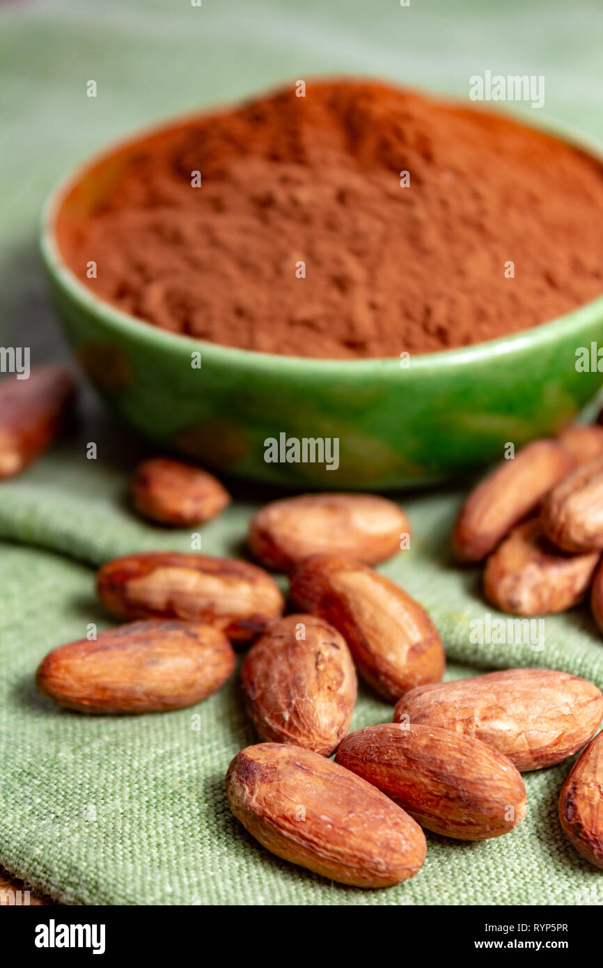 Cocoa or cacao beans and powder, used in hot chocolate drink, chocolate ...