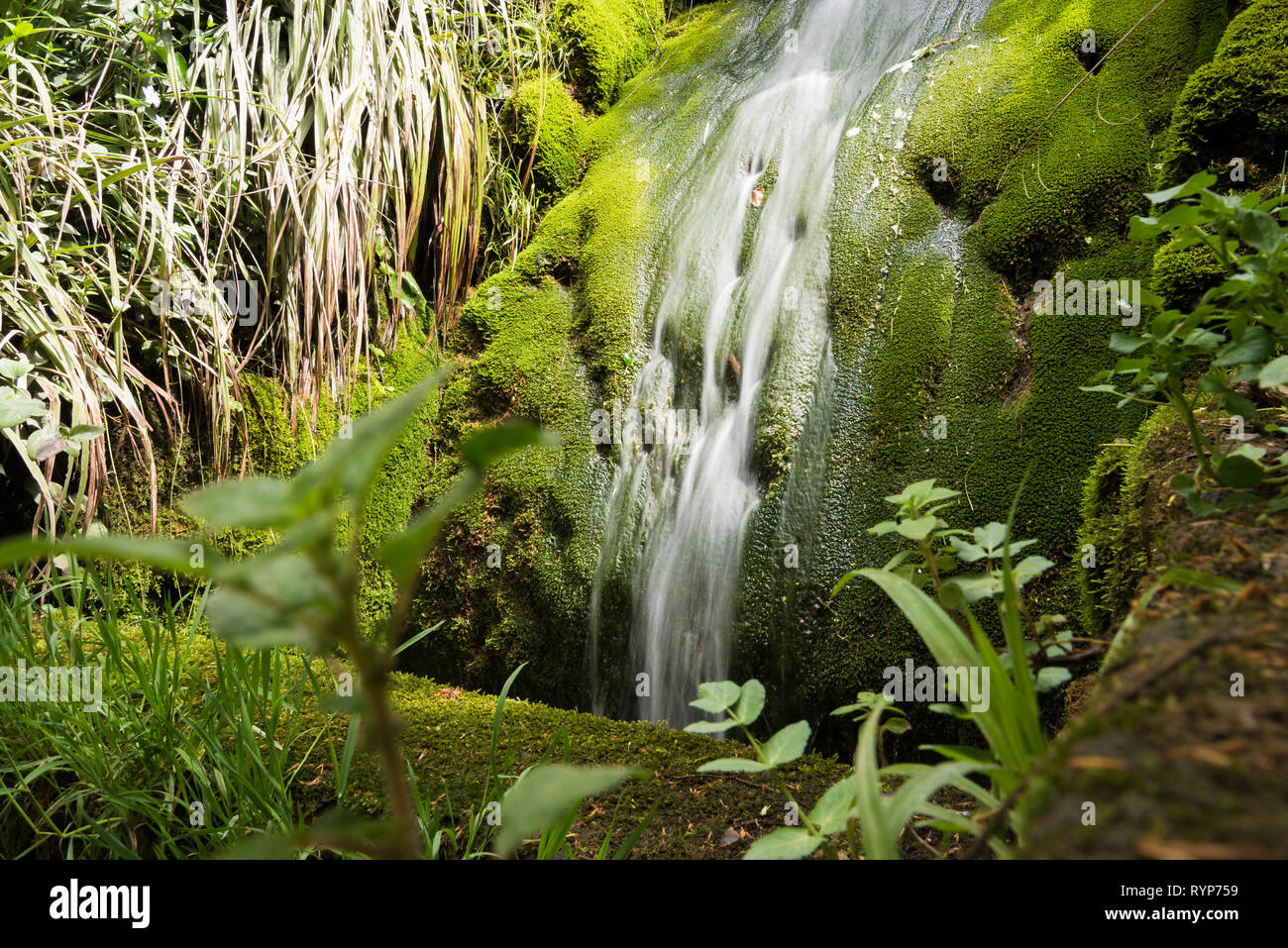 Waterfall in moss Stock Photo - Alamy