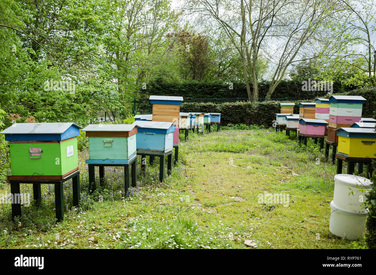 Bee houses hi-res stock photography and images - Alamy