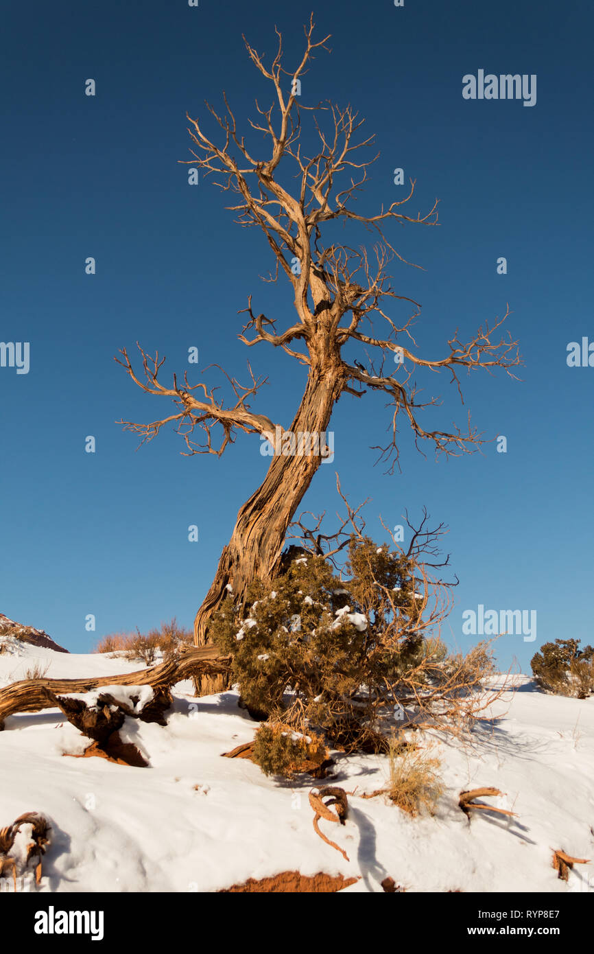Interesting image hi-res stock photography and images - Alamy