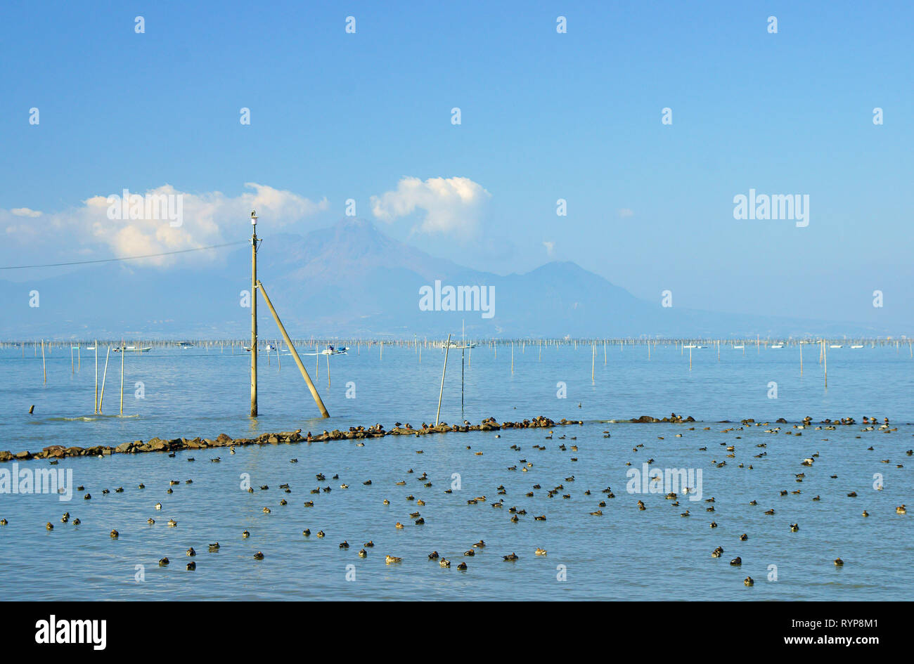 Ariake hi-res stock photography and images - Alamy