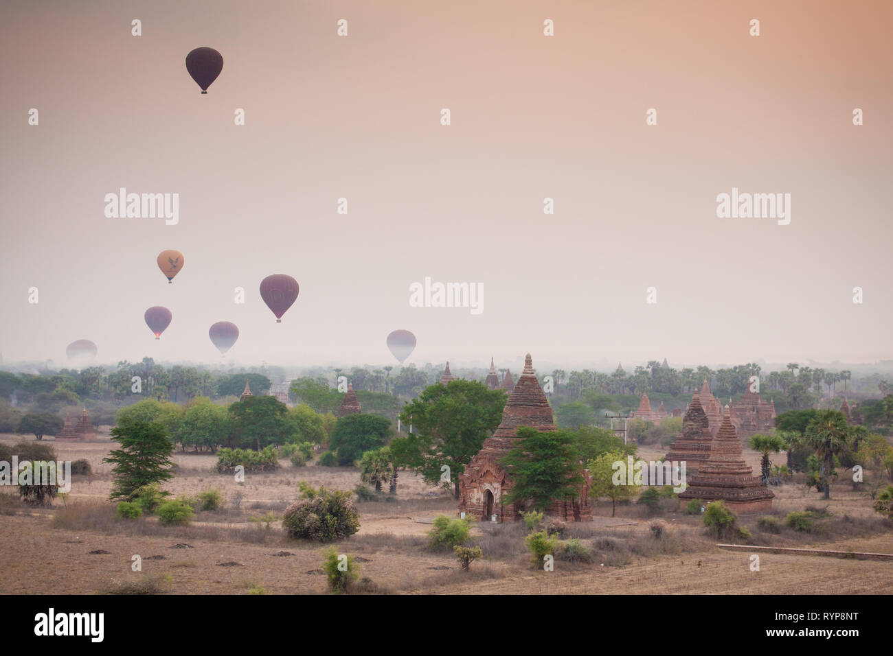 Hot air balloons at dawn over Bagan, Myanmar Stock Photo - Alamy