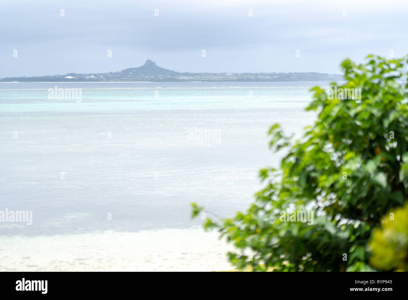 Ikei hi-res stock photography and images - Alamy