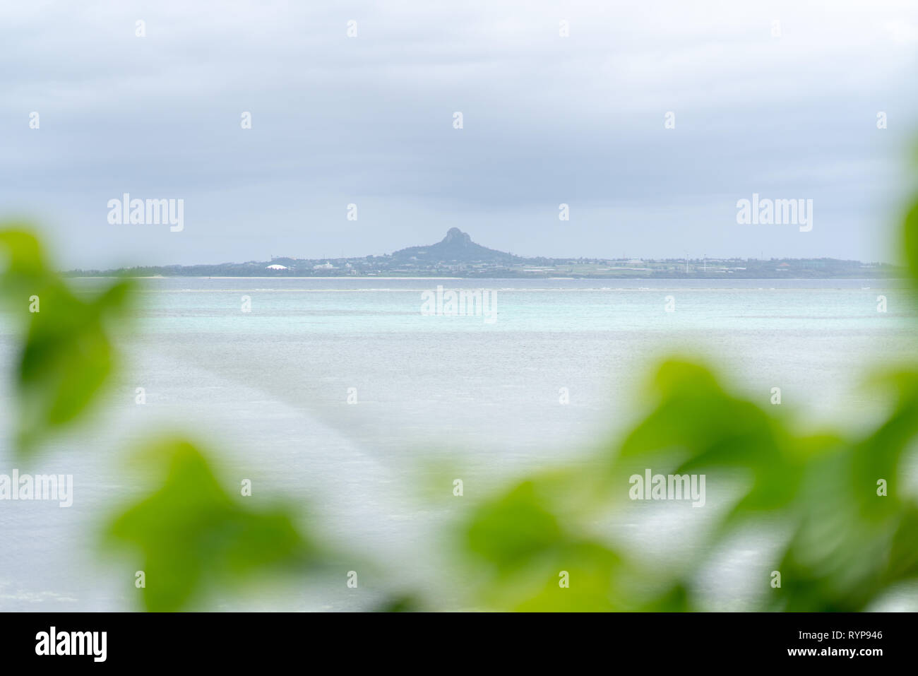 Ikei hi-res stock photography and images - Alamy