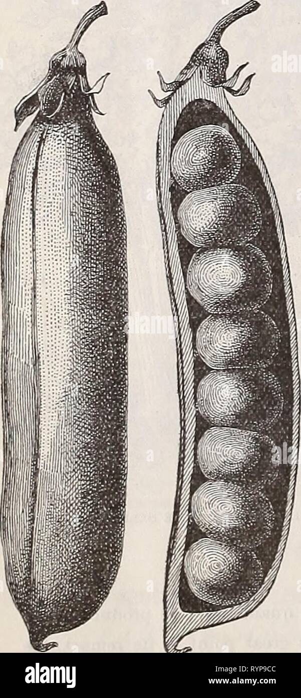 Tion family hi-res stock photography and images - Alamy