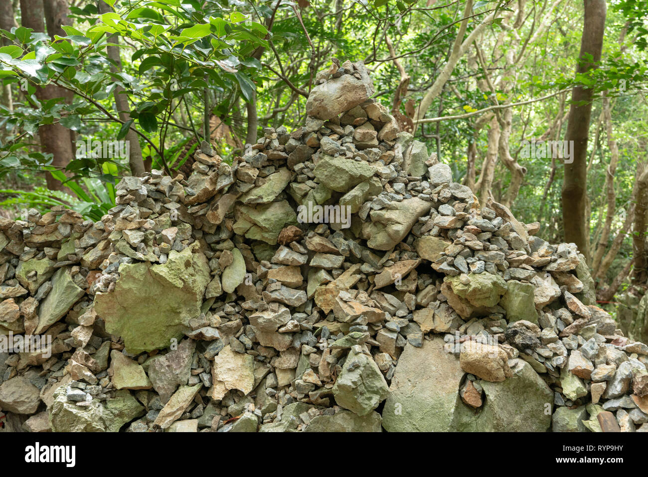 Rocks in forest Stock Photo - Alamy