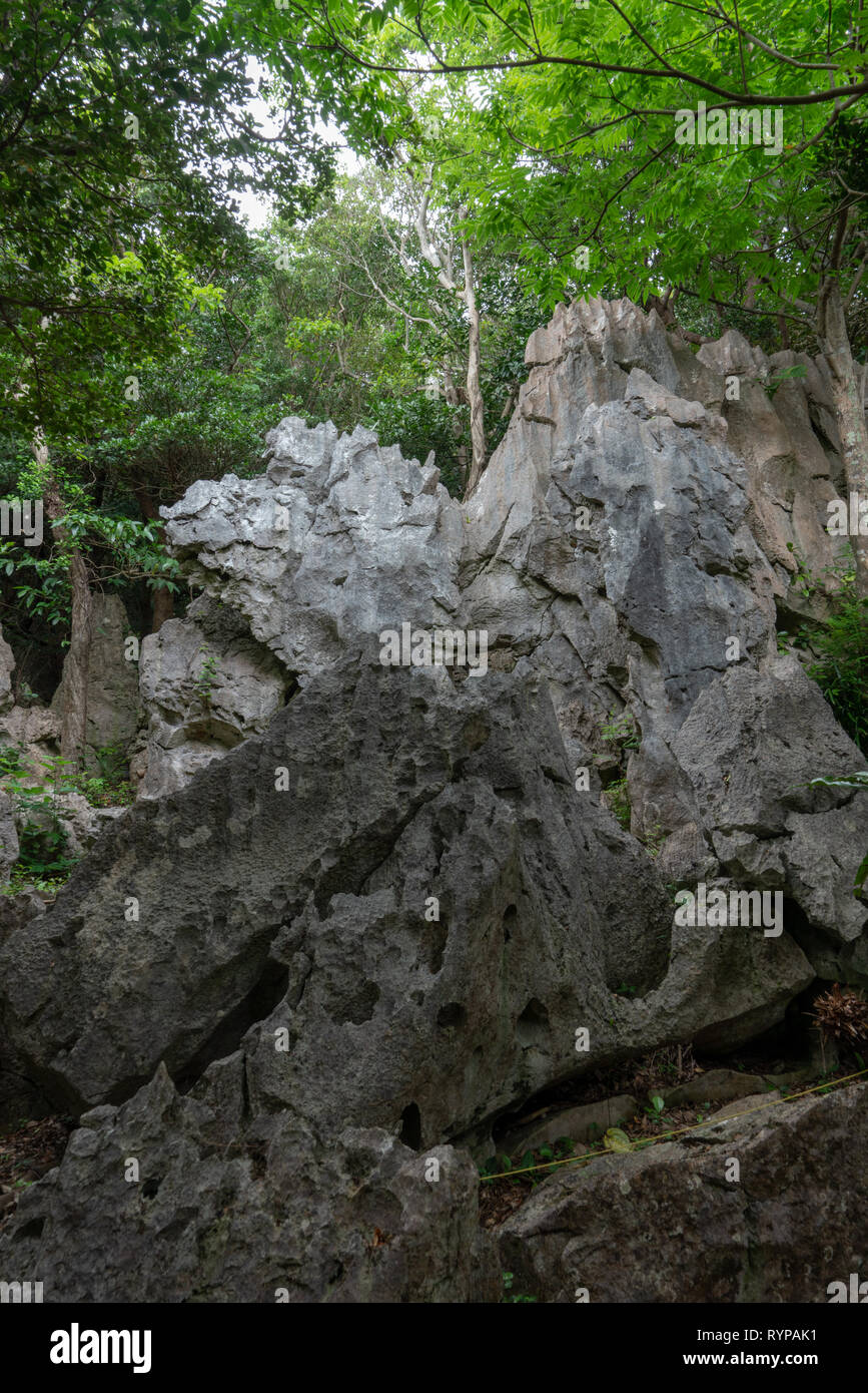 Rocks in jungle Stock Photo - Alamy