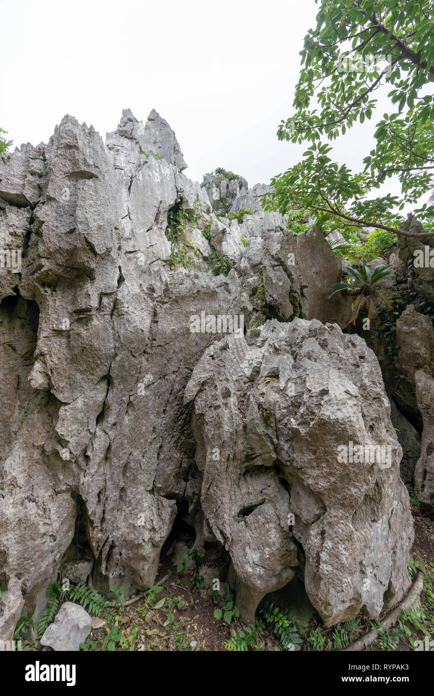 Rocks in jungle Stock Photo - Alamy