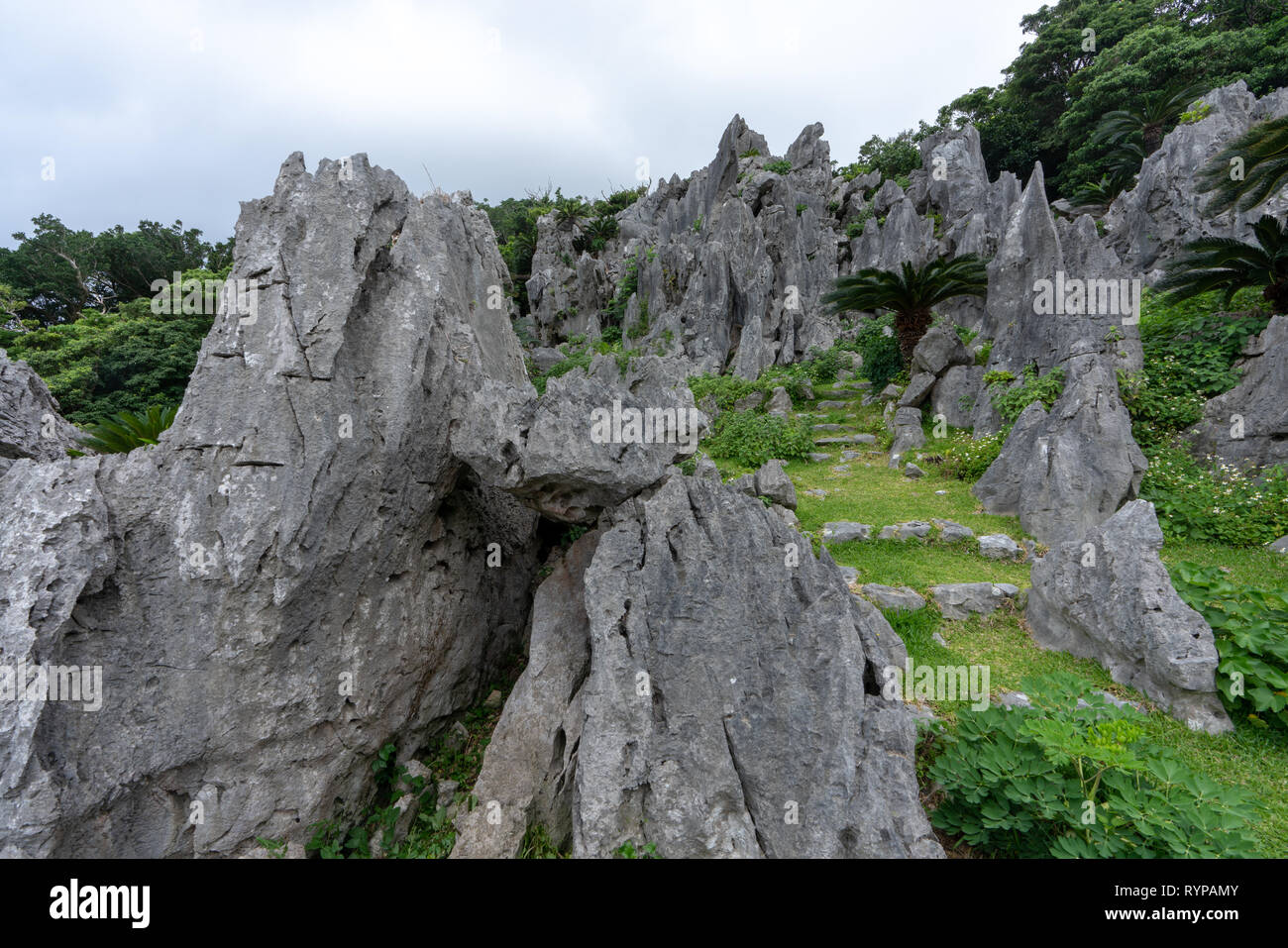 Rocks in jungle Stock Photo - Alamy