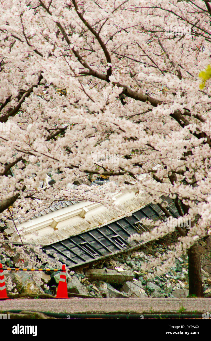 Kumamoto Castle in spring, Kumamoto Prefecture, Japan Stock Photo - Alamy