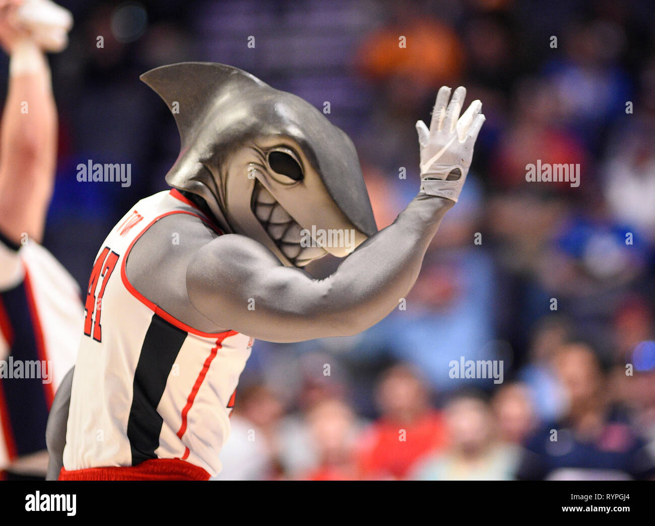 Alabama crimson tide mascot hi-res stock photography and images - Alamy