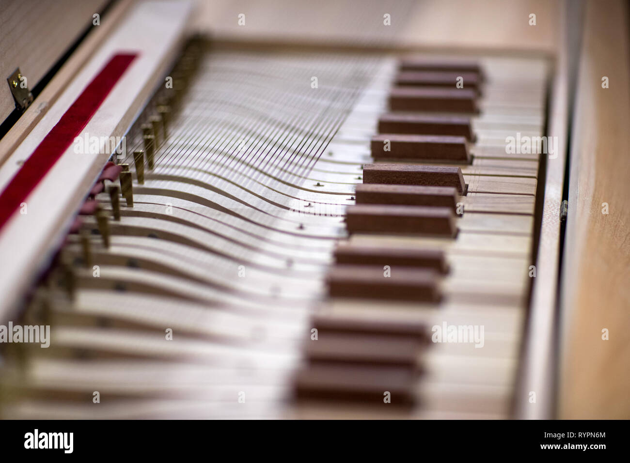 Rostock, Germany. 21st Feb, 2019. The wooden keyboard of a clavichord ...