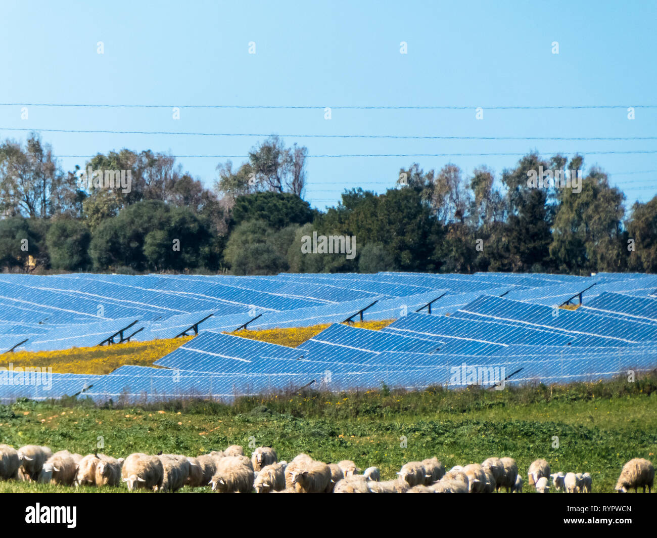 Sheep solar panels electricity power hi-res stock photography and ...