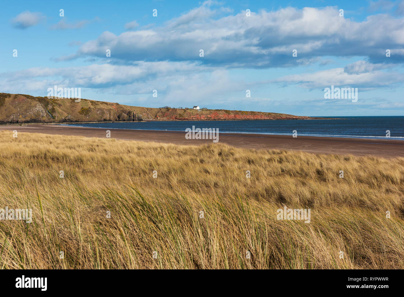 St Cyrus beach, St Cyrus National Nature Reserve, Aberdeenshire ...