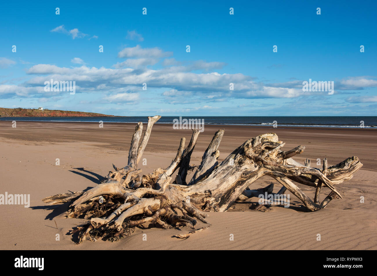 Beach coast in saint hi-res stock photography and images - Alamy