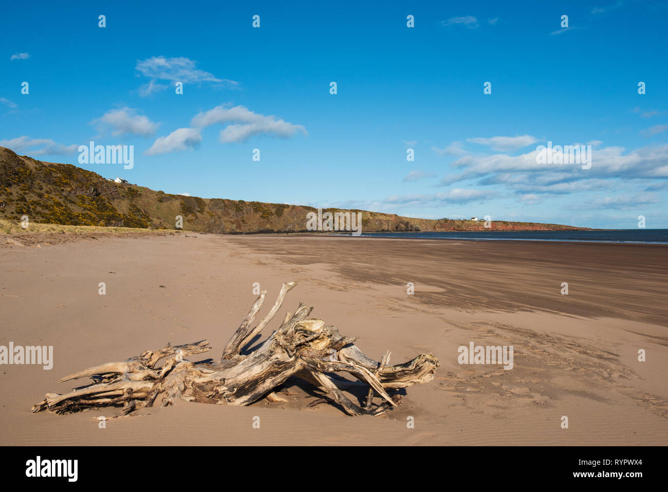 St cyrus beach hi-res stock photography and images - Alamy