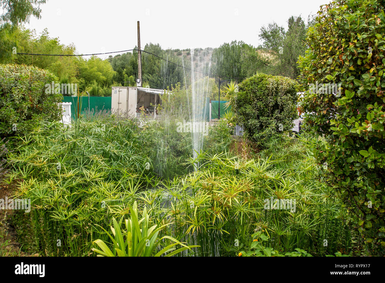 Mogon hi-res stock photography and images - Alamy