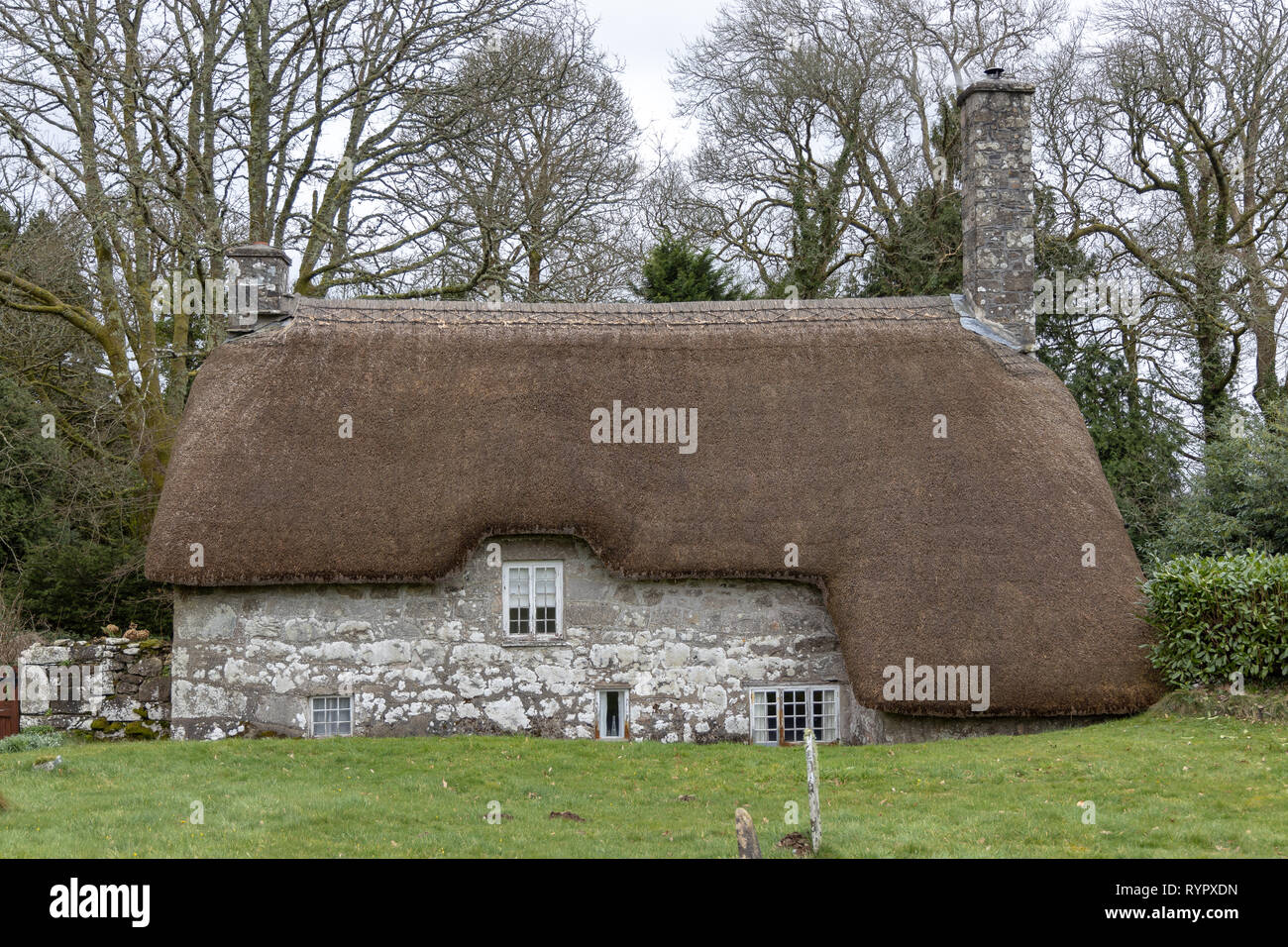 Thatched cottage, Devon, UK Stock Photo - Alamy