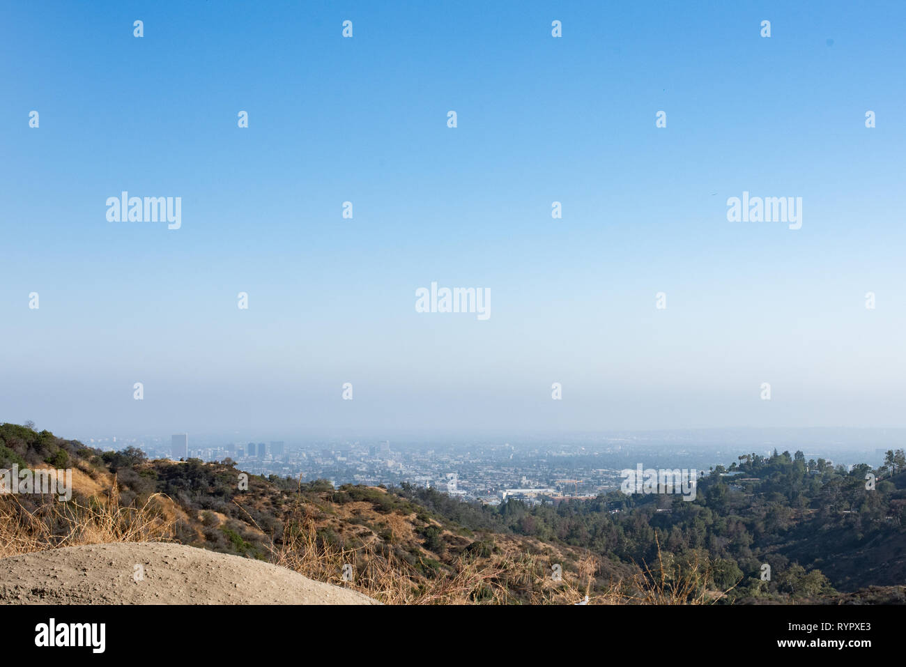 View of the city of Los Angeles in the horizon from the Hollywood Hills ...