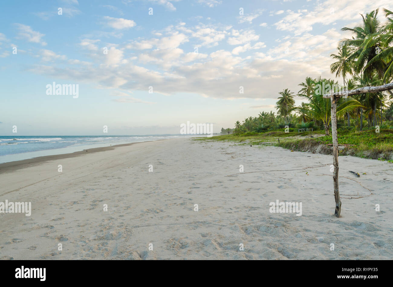 Sargi beach hi-res stock photography and images - Alamy