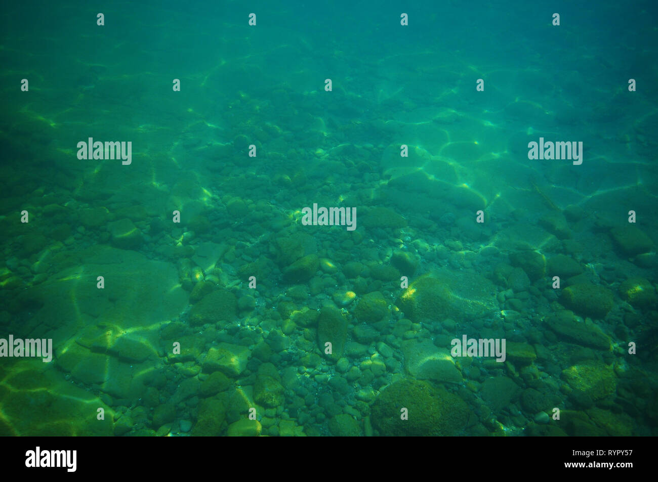 Gravel bottom in shallow green sea with areas of larger rocks and ...