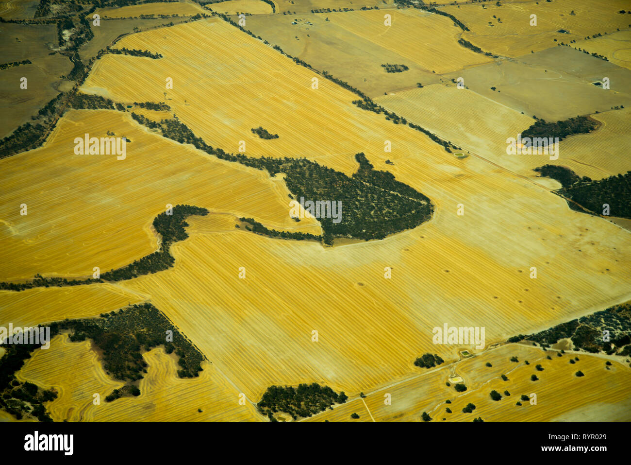 Aerial wheatbelt western australia hi-res stock photography and images ...