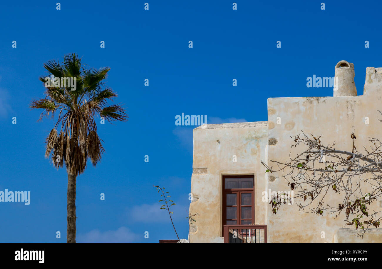 Cycladic house with palm tree under a blue Sky, Paros, Greece Stock ...