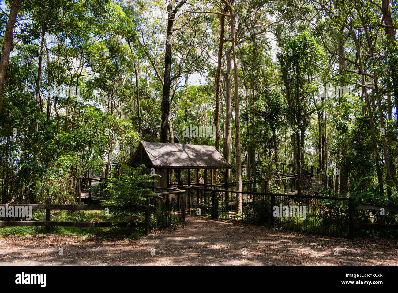 Westridge Lookout, Mt Glorious Stock Photo - Alamy