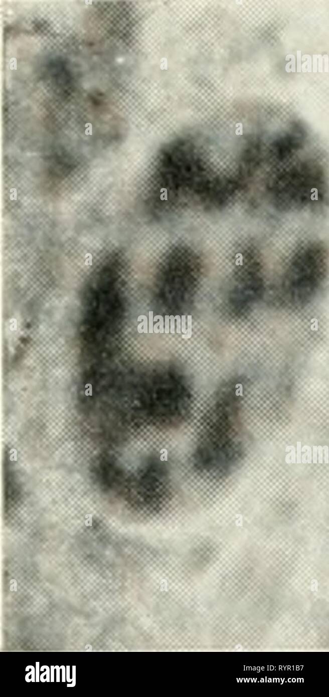 Electron microscopy; proceedings of the Electron microscopy ...