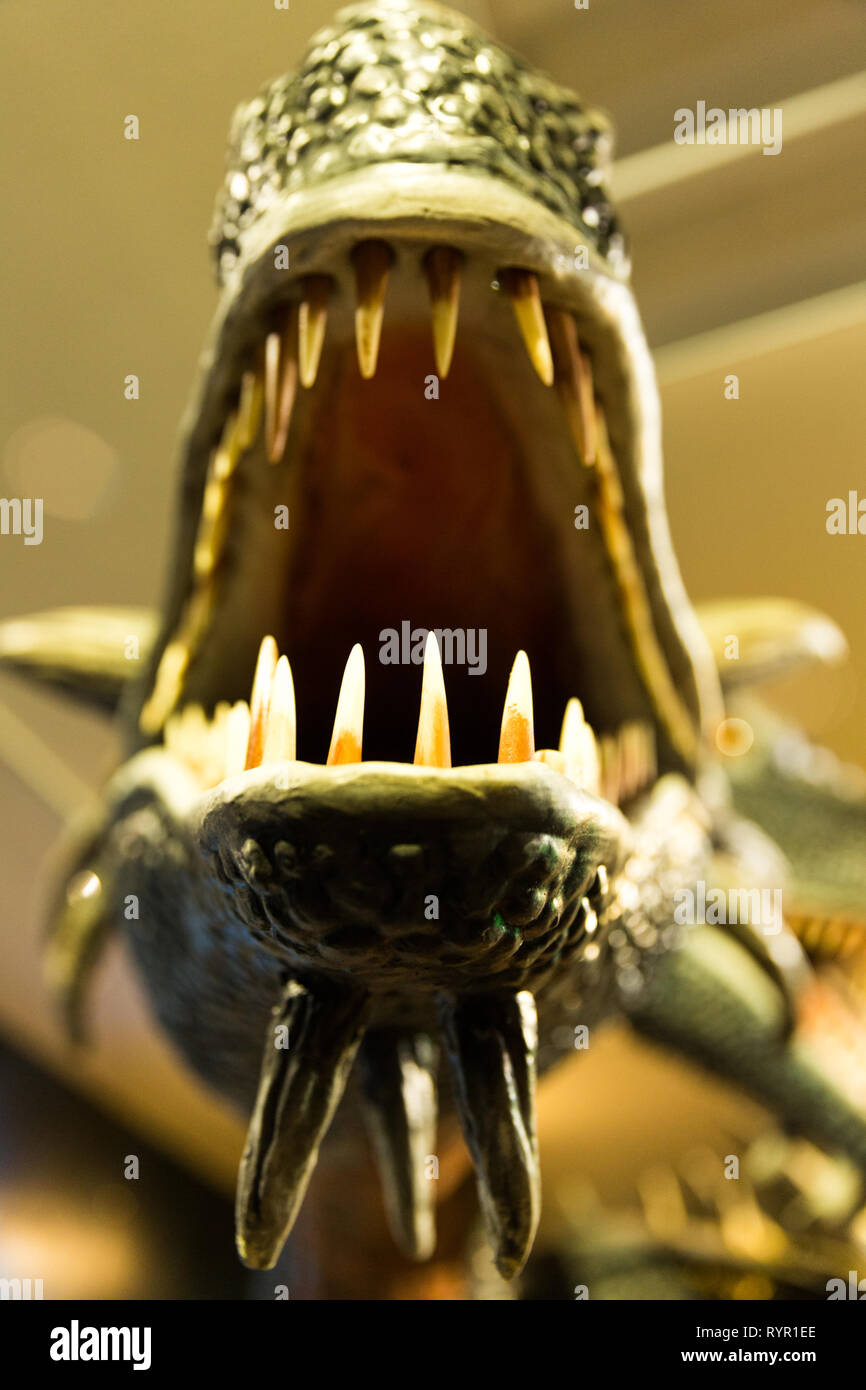 Close up of rows of scary dragon teeth Stock Photo - Alamy