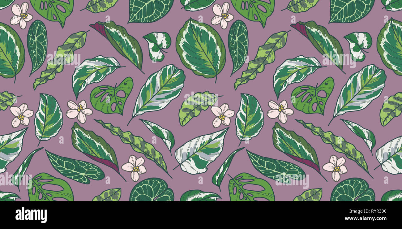 Seamless pattern with tropical Calathea, Pothos and Monstera plant ...