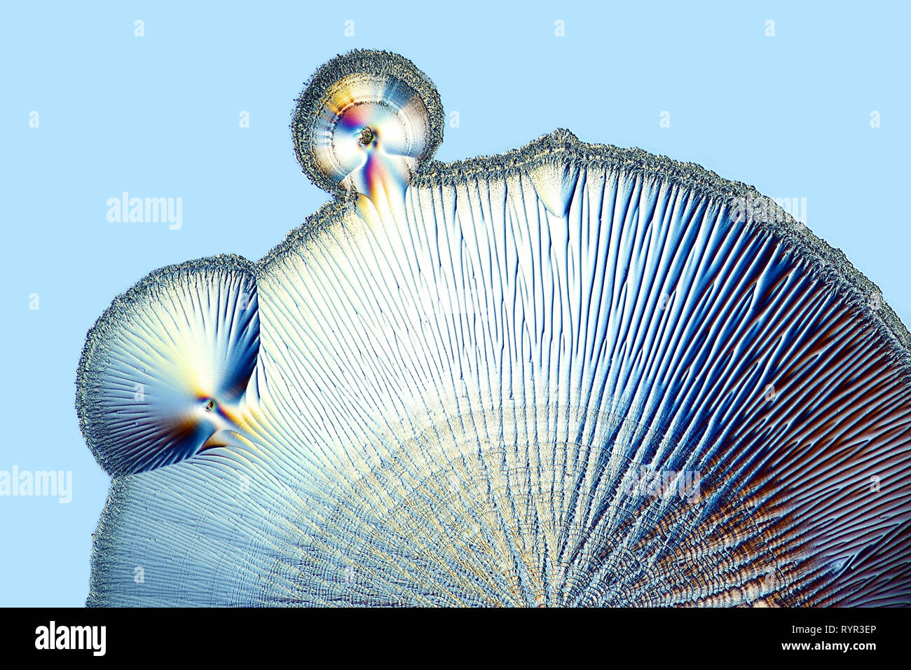 Science and art. Anatomy of a crystal, a microscope image Stock Photo ...