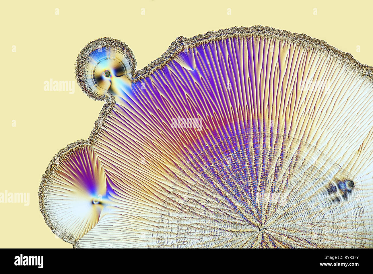 Science and art. Anatomy of a crystal, a microscope image Stock Photo ...