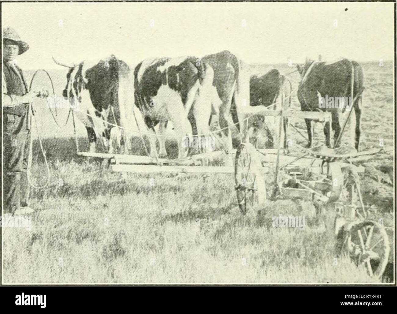 Dry farming in western Canada Dry farming in western Canada ...