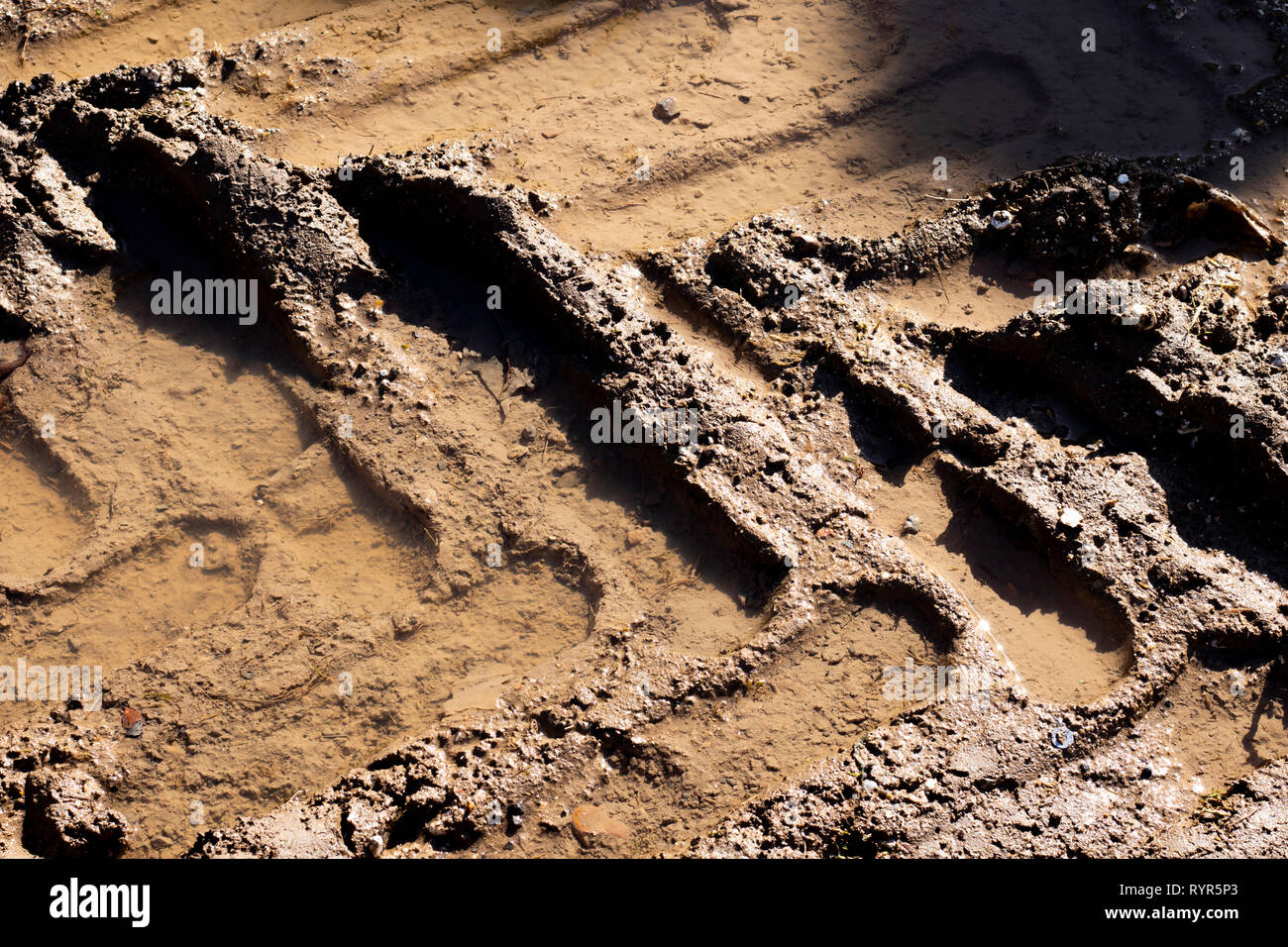 Heavy machinery tyre track impressions in mud on construction site ...