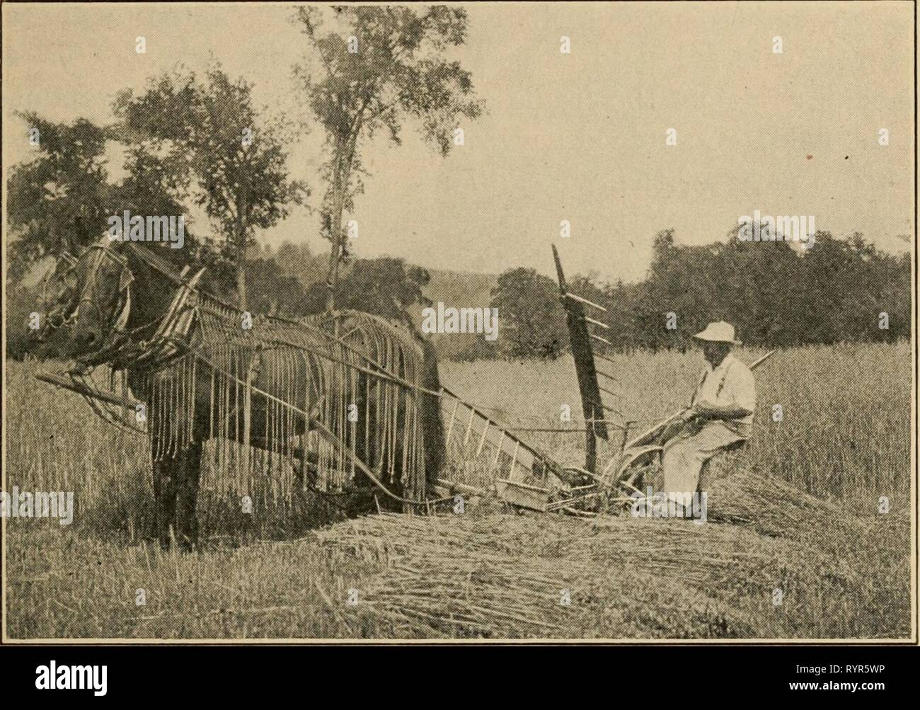 Effective farming; a text-book for 20994785899 o.jpg Stock Photo - Alamy