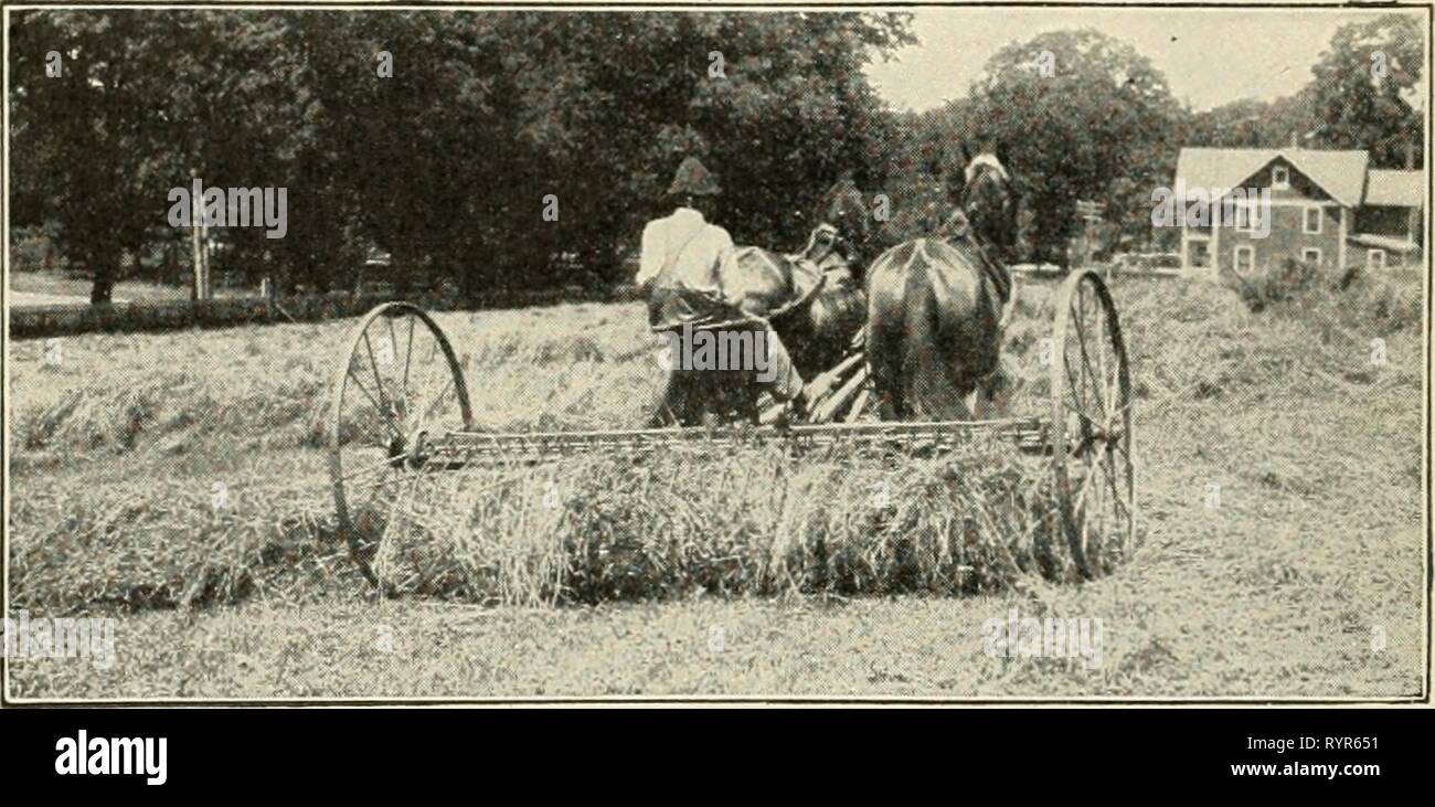 Dry cured hay hi-res stock photography and images - Alamy