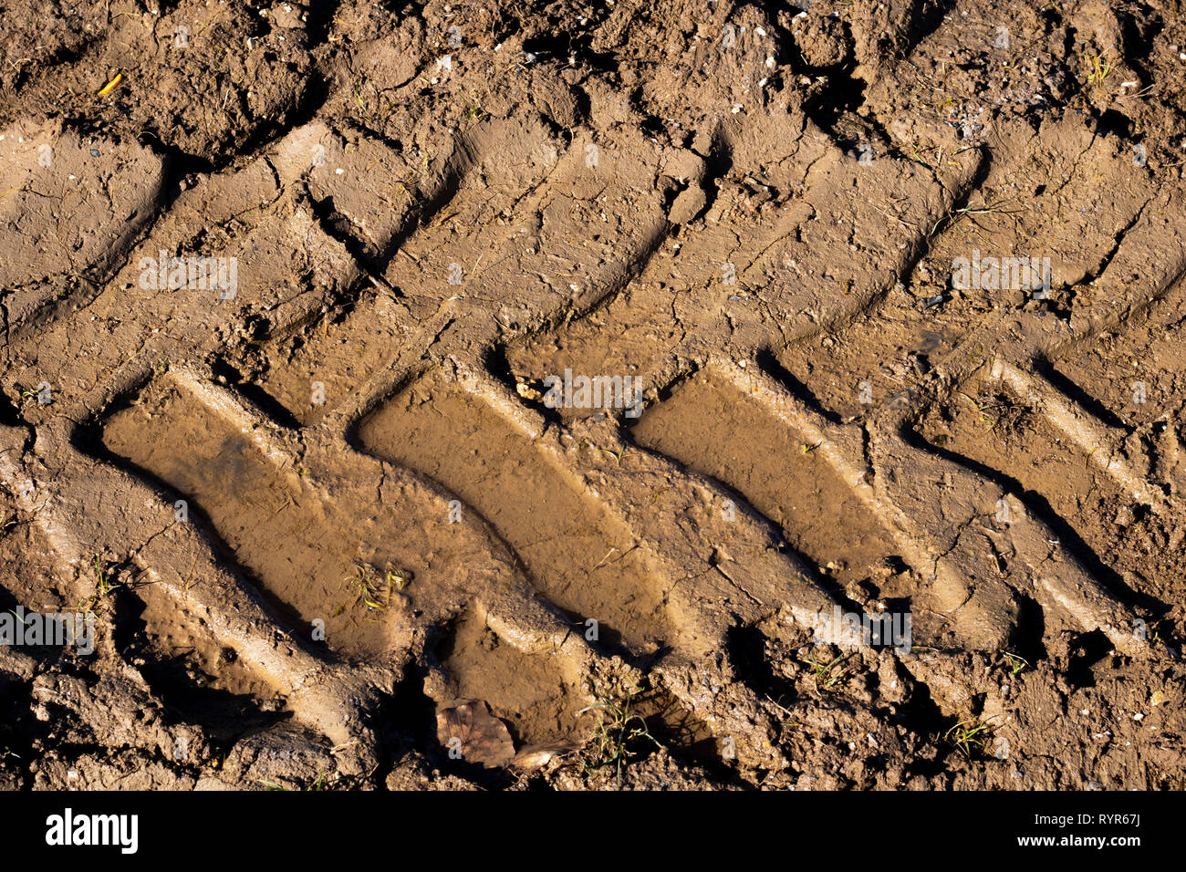 Heavy machinery tyre track impressions in mud on construction site ...