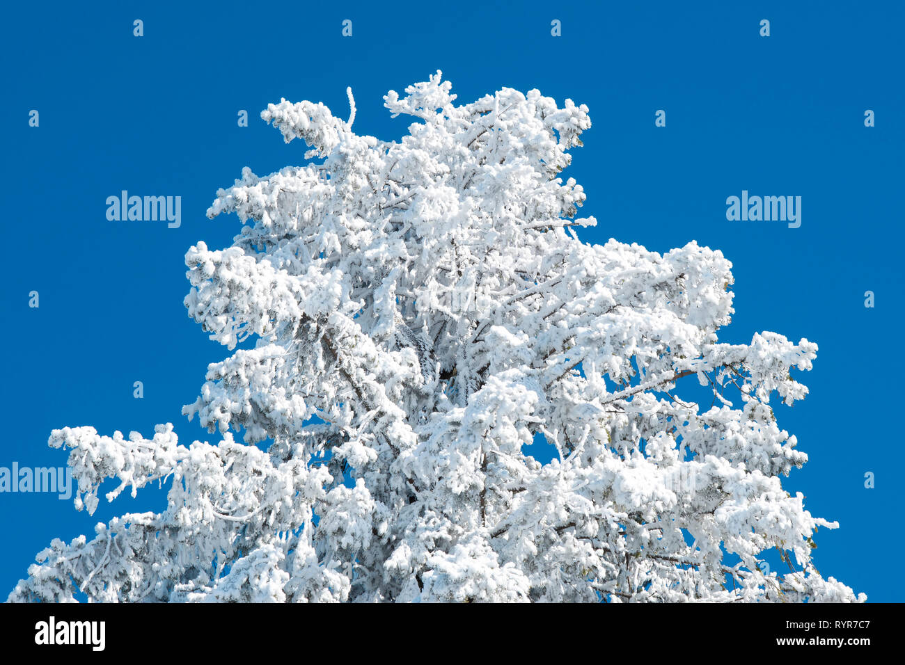 Clear bright winter sky hi-res stock photography and images - Alamy